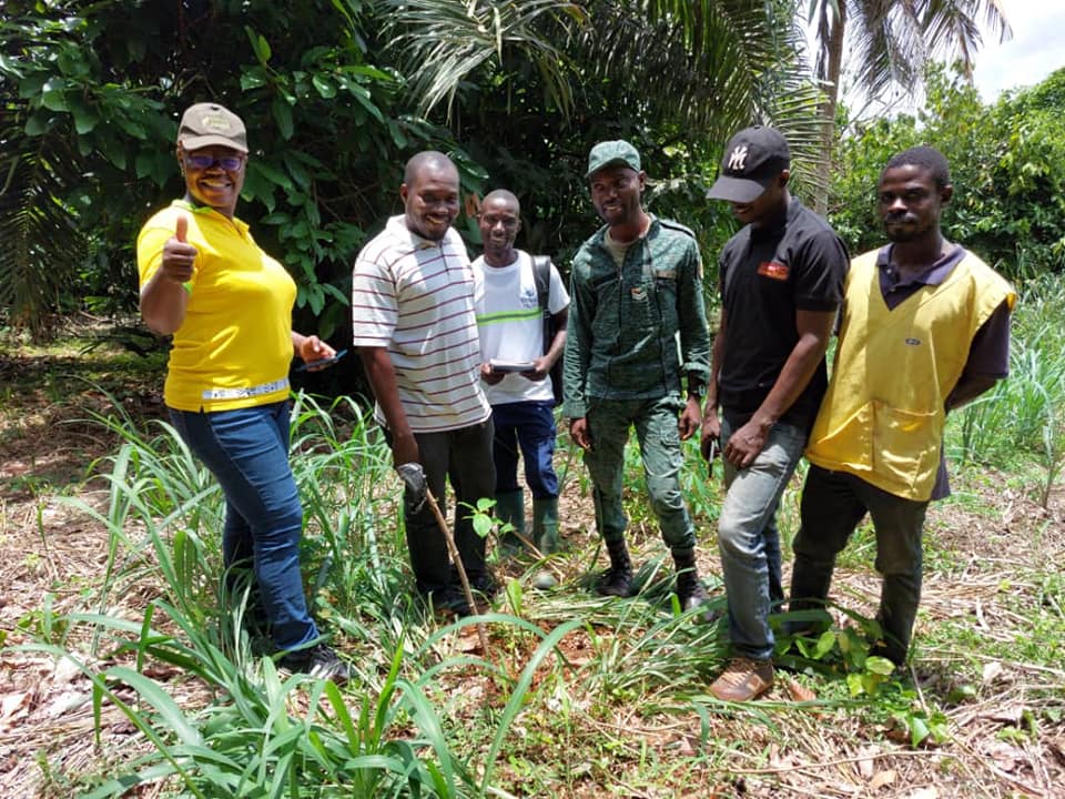 DREF DE L'INDÉNIÉ-DJUABLIN / Distribution de plusieurs essences ...