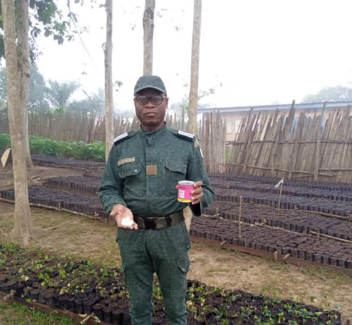 DREF DE SAN PEDRO / Le Cne Armel Gildas BABO a traité les plants de la ...